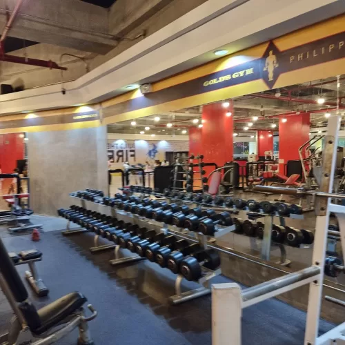 Inside Gold's Gym Philippines Vertis North: Review | ONLOOQ